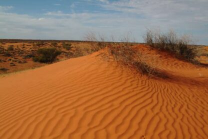 The Simpson Desert – This is Australia!