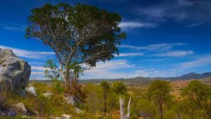 Boolboonda Tunnel – This is Australia!
