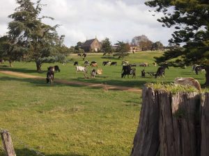 Terang, Victoria – This is Australia!
