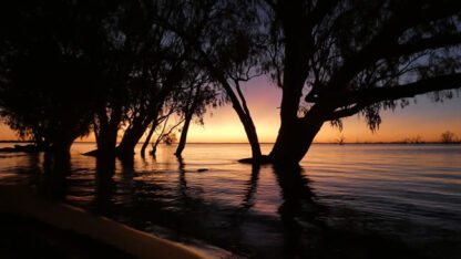 Menindee Lakes – This is Australia!