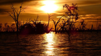 Menindee Lakes – This is Australia!
