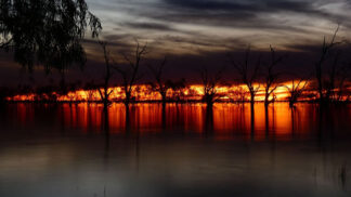 Menindee Lakes – This is Australia!