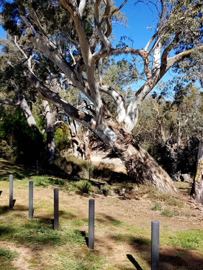 Darling River – This is Australia!